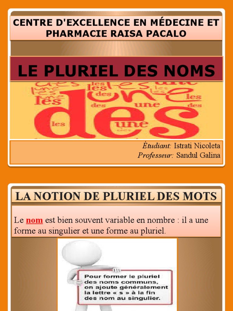 Le Pluriel Des Noms | PDF