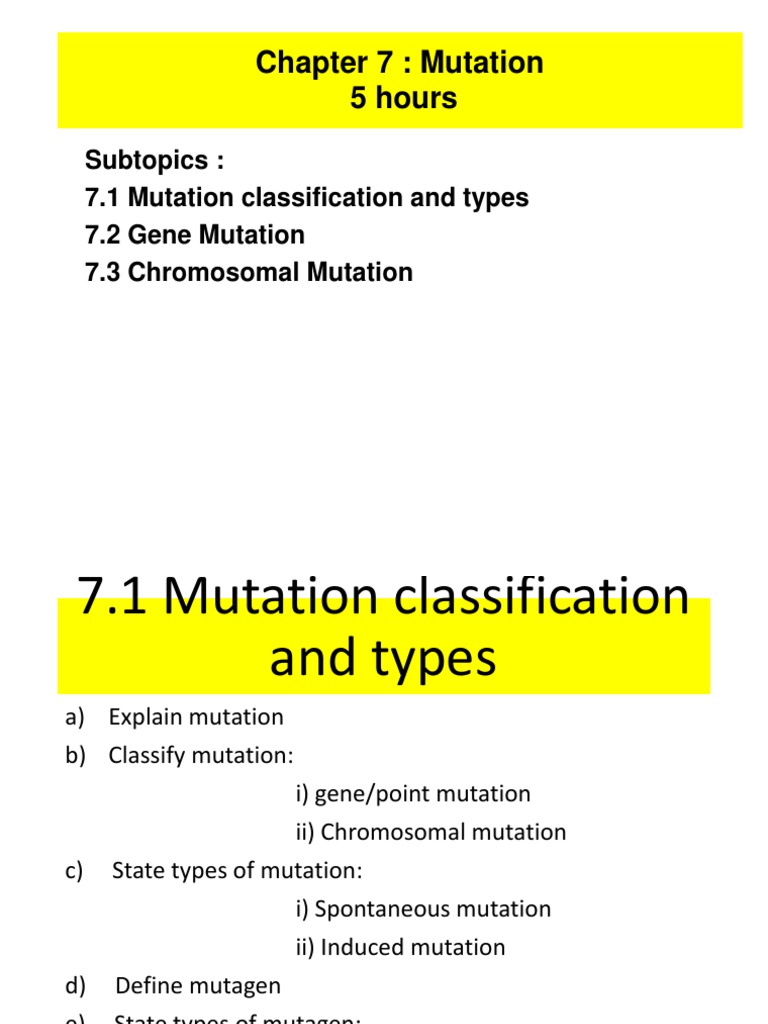 7 Mutation SC | PDF | Point Mutation | Ploidy