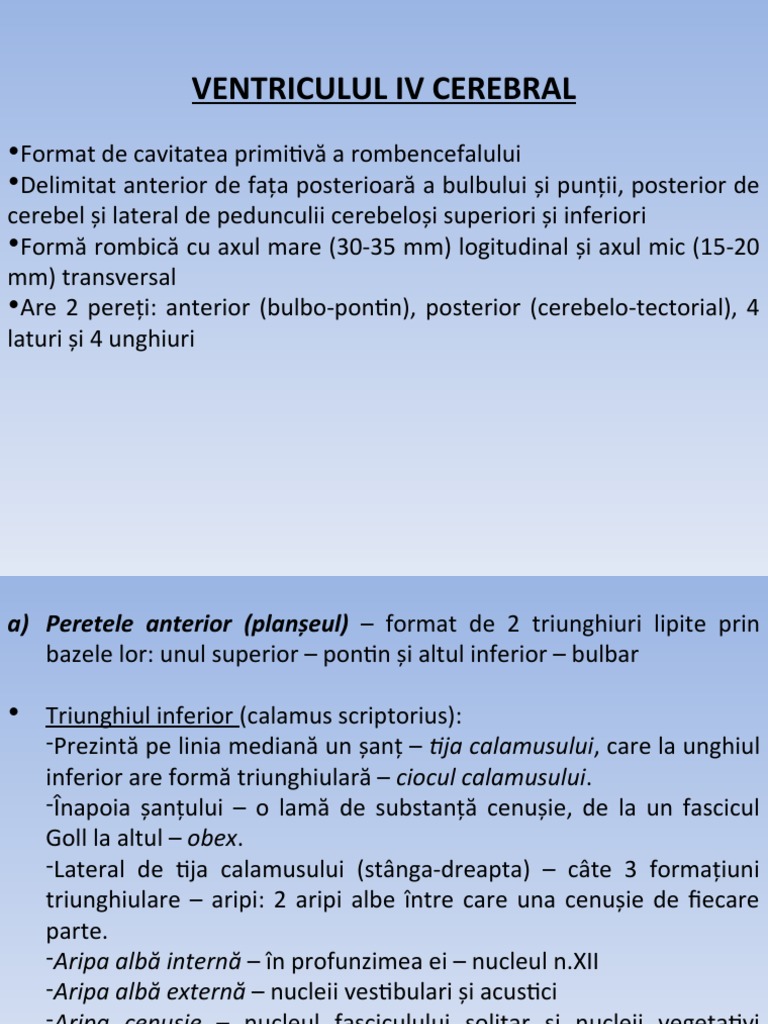 Ventriculii III Si IV, Talamus, Hipotalamus, Emisfere-Fata Externa | PDF