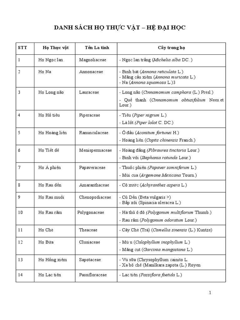 Danh Sach Ho Tv-He DH | PDF
