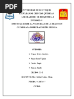 Función y Estructura de la Ureasa | PDF | Enzima | Urea