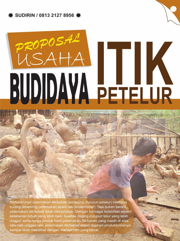 PROPOSAL Usaha Budidaya Itik Petelur FULL + Surat Ket | PDF
