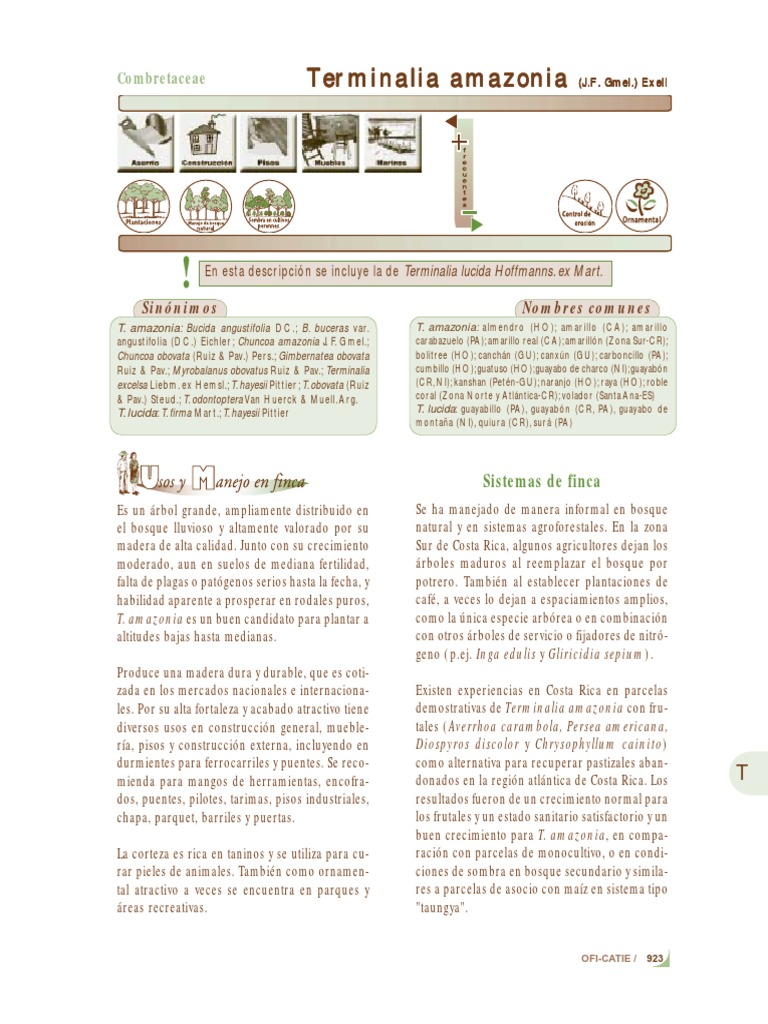 Terminalia Lucida | PDF | Los bosques | Américas