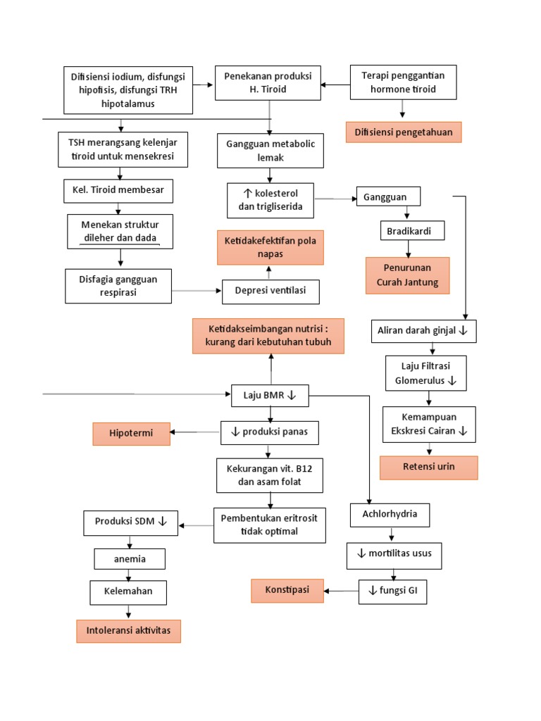 Pathway Hipotiroidisme | PDF