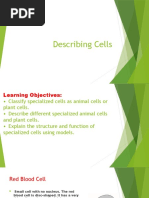 KS3 Science Revision Worksheets Cells | PDF | Vacuole | Cell (Biology)