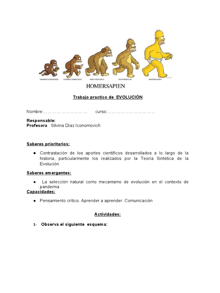 TP Evolucion 3ro | PDF | Evolución | Charles Darwin