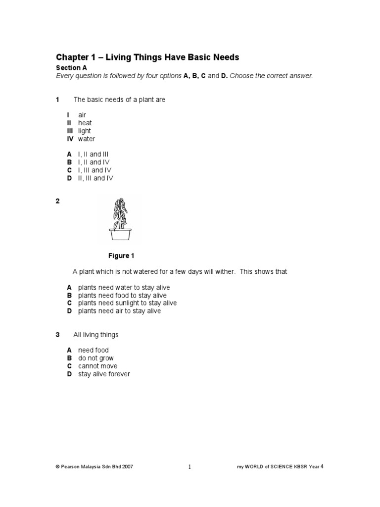 Science Year 4 Chapter 1 | PDF | Seed | Water