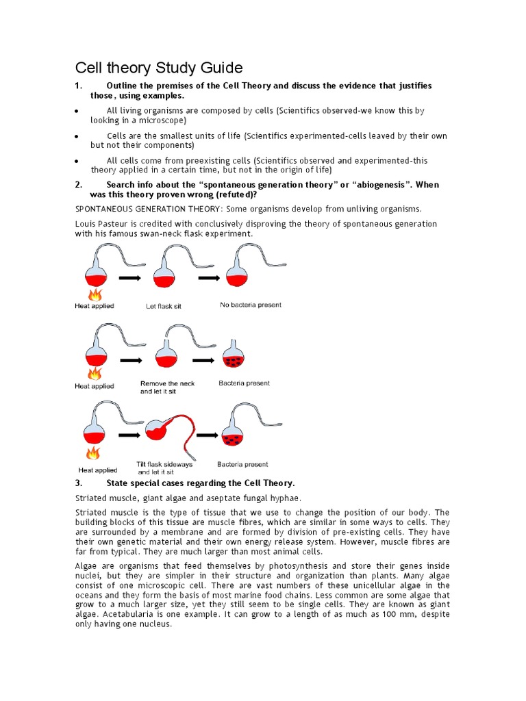 Cell Theory Study Guide | PDF | Cell (Biology) | Organelle