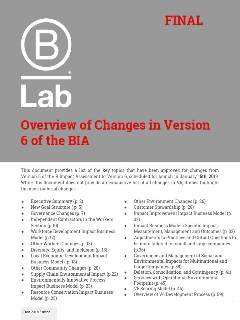 Bcorp V6 FINAL Public Document | PDF | Employment | Governance