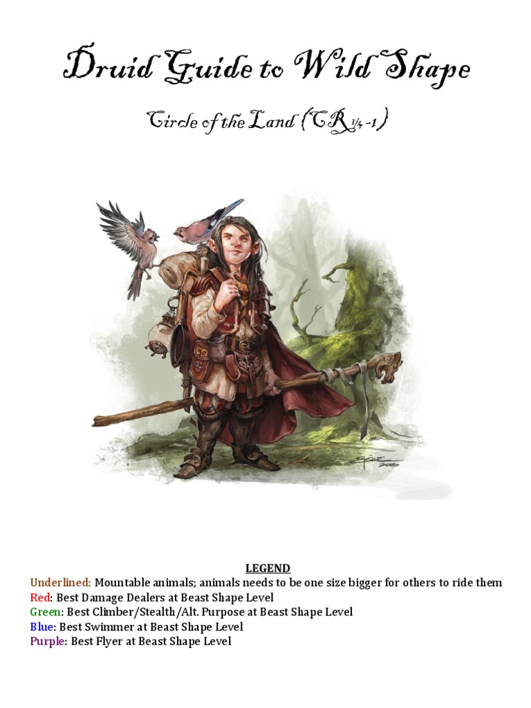 Druid Guide To Wild Shape: Circle of The Land (CR - 1) | Download Free ...