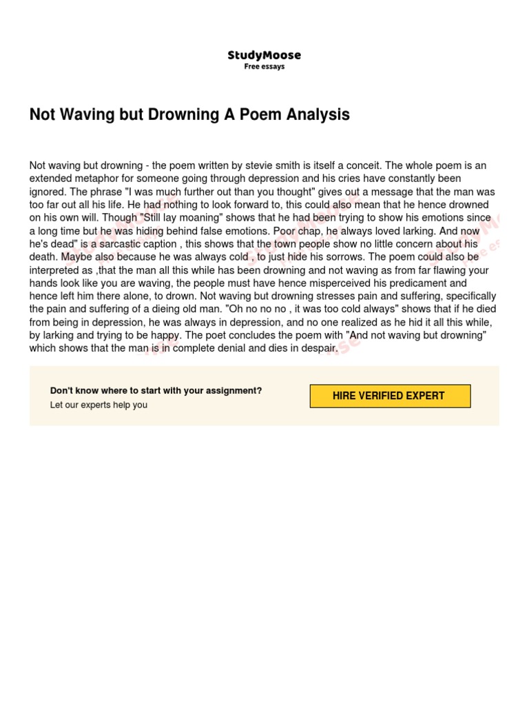 Not Waving But Drowning A Poem Analysis | PDF