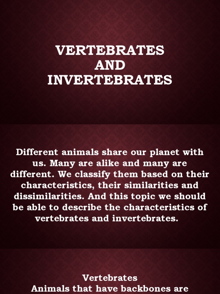 Characteristics of Vertebrates vs. Invertebrates | PDF | Social Science ...