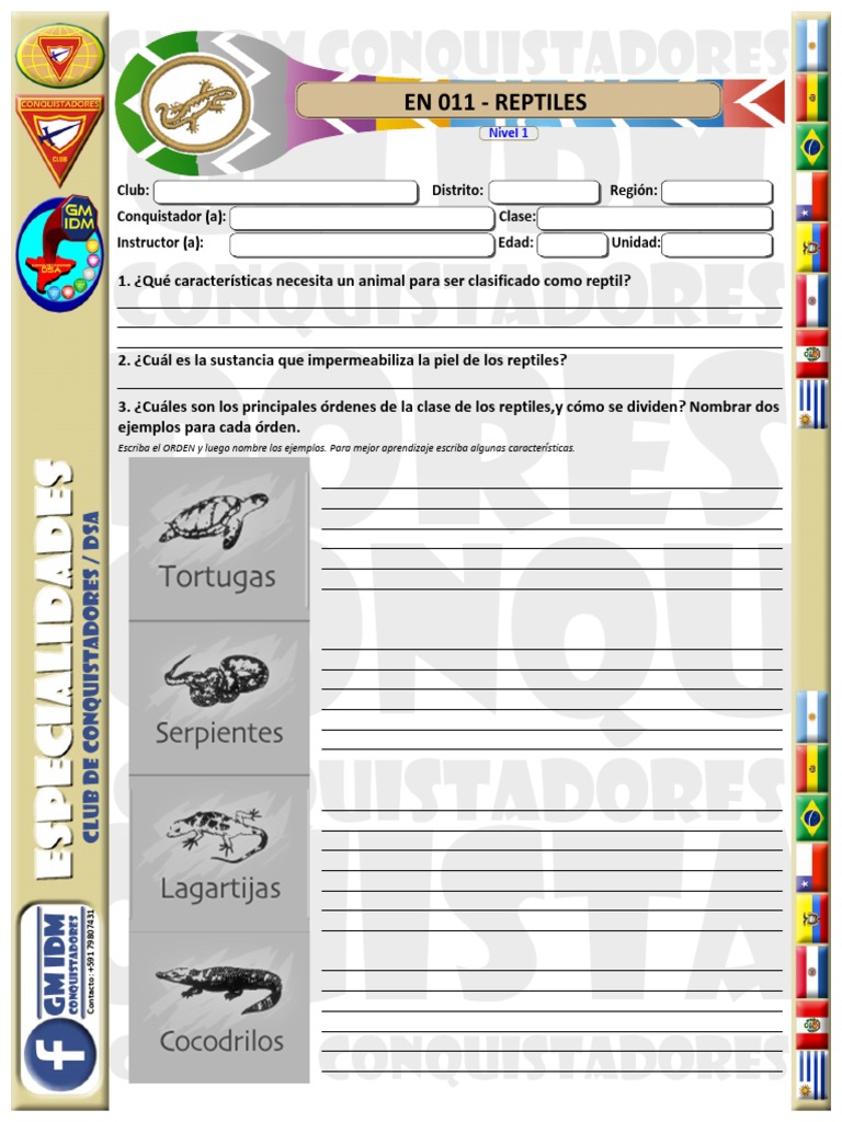 En 011 Reptiles | PDF | Reptil | Sistema circulatorio