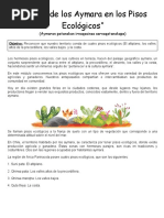 Instrumentos Aymaras | PDF | Arte | Historia