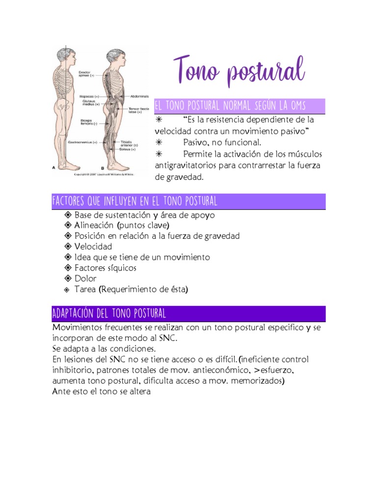 Tono Postural | PDF