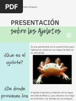 Ajolote Mexicano PDF | PDF | Organismos | Conservación