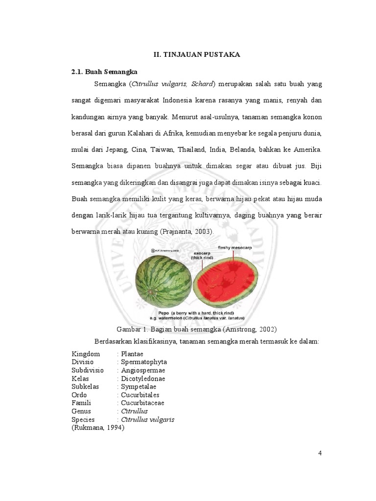 Nilai Gizi Kulit Semangka | PDF
