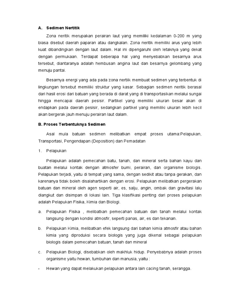 Kelompok 1 Sedimen Neritik | PDF | Sains & Matematika
