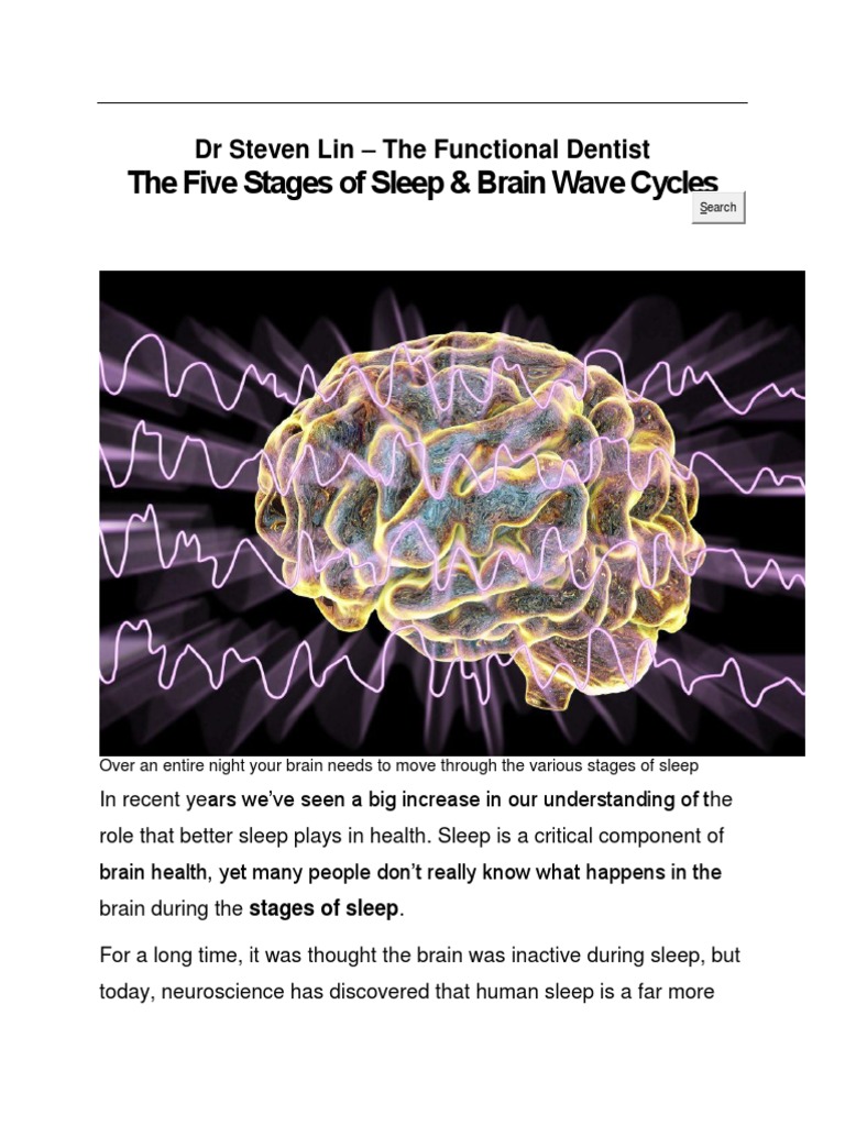 DR Steven Lin - The Five Stages of Sleep and Brain Wave Cycles ...