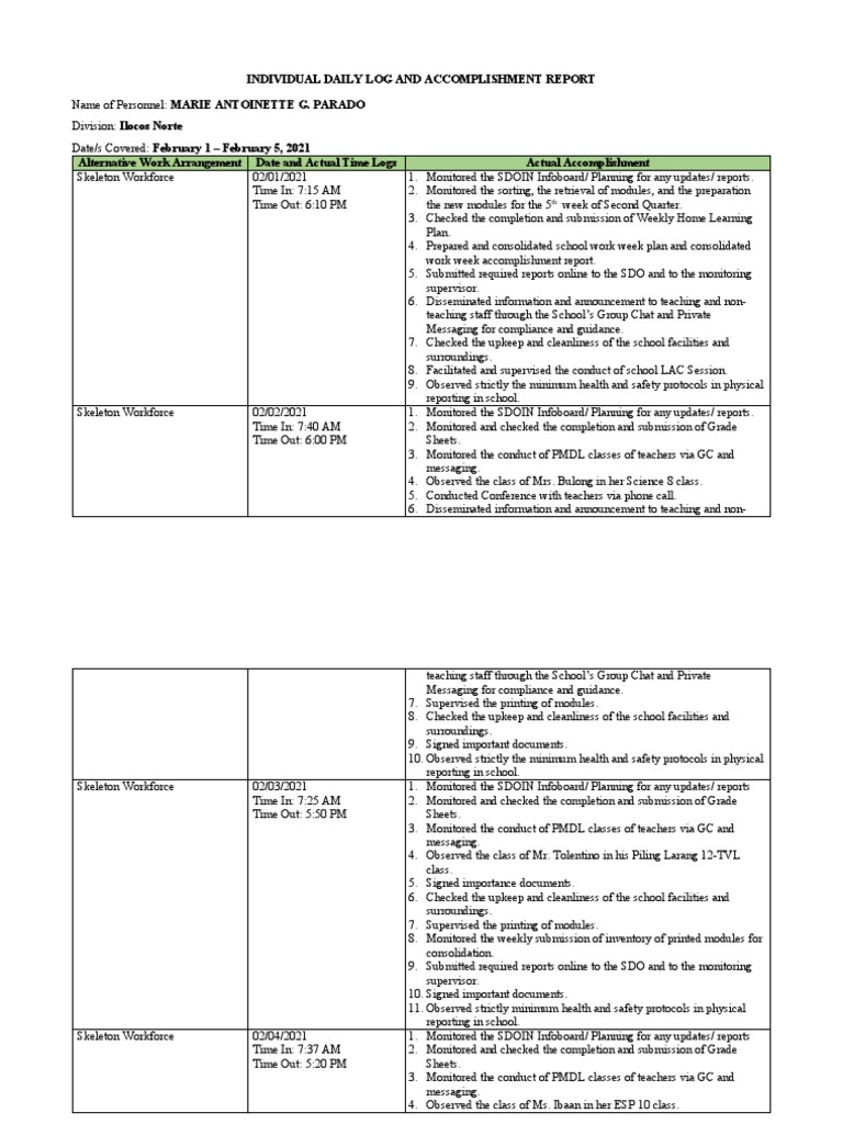 Individual Daily Log and Accomplishment Report - MSG | PDF ...