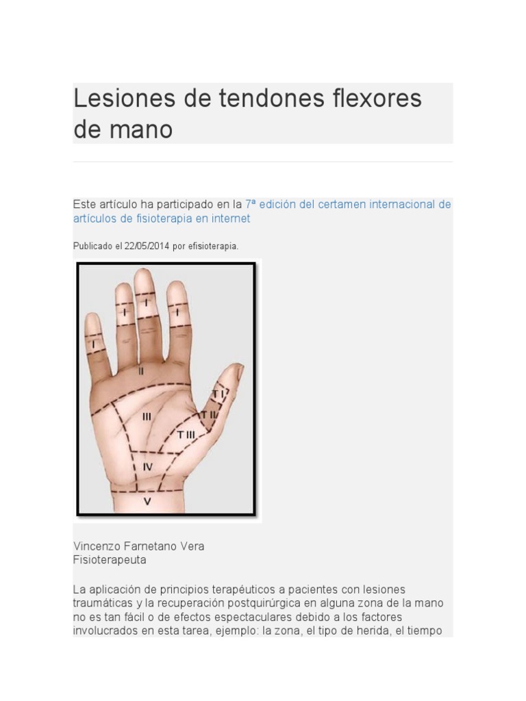 Lesiones tendinosas flexores mano | PDF | Mano | Cicatrización de la herida