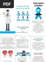 Triptico Cancer de Prostata | PDF | Cancer de prostata | Cáncer