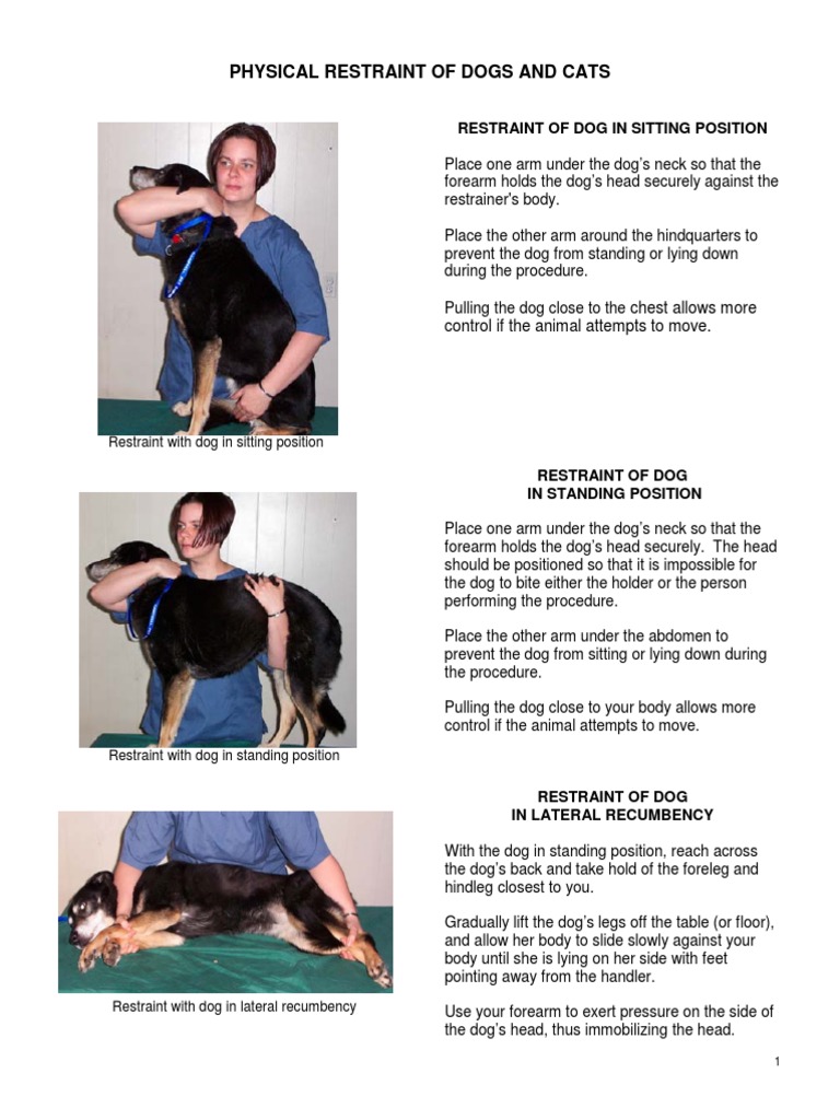 Animal Handling-Physical Restraint | PDF | Hand | Arm