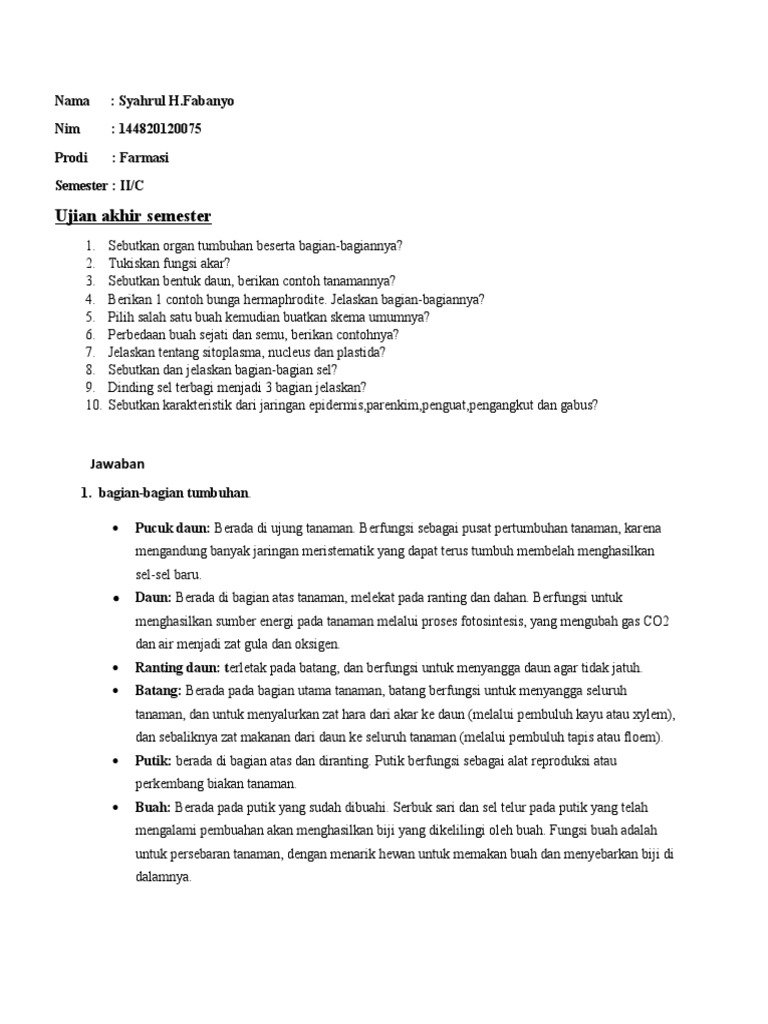Uas Botani Ii C Jawaban | PDF