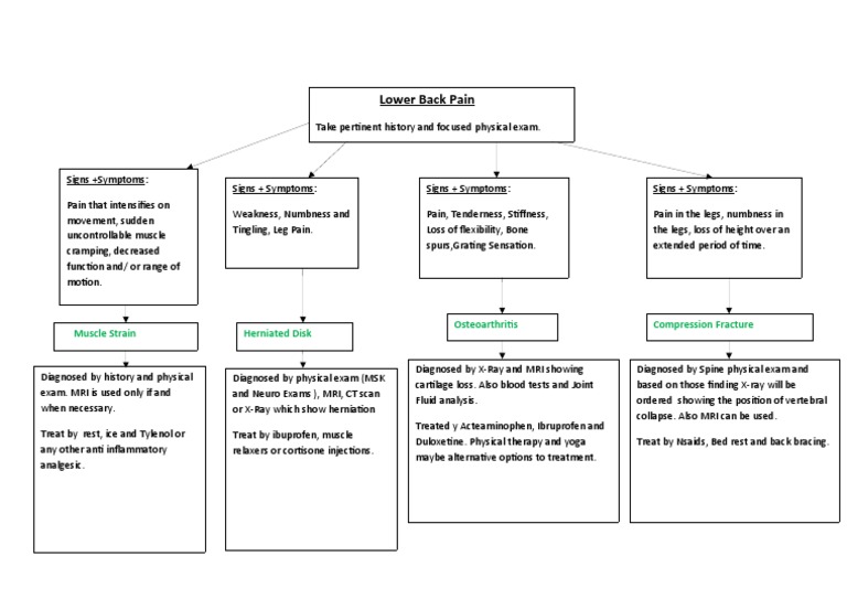 Lower Back Pain Diagnostic Algorithm | PDF | Back Pain | Low Back Pain