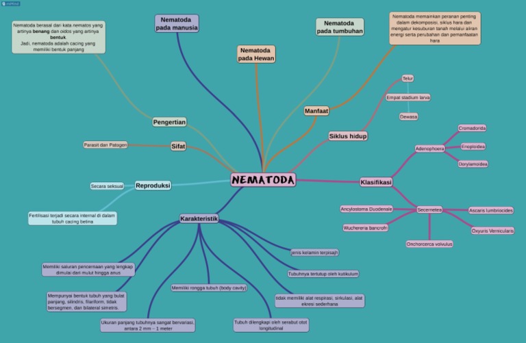 Mindmap Nematoda | PDF