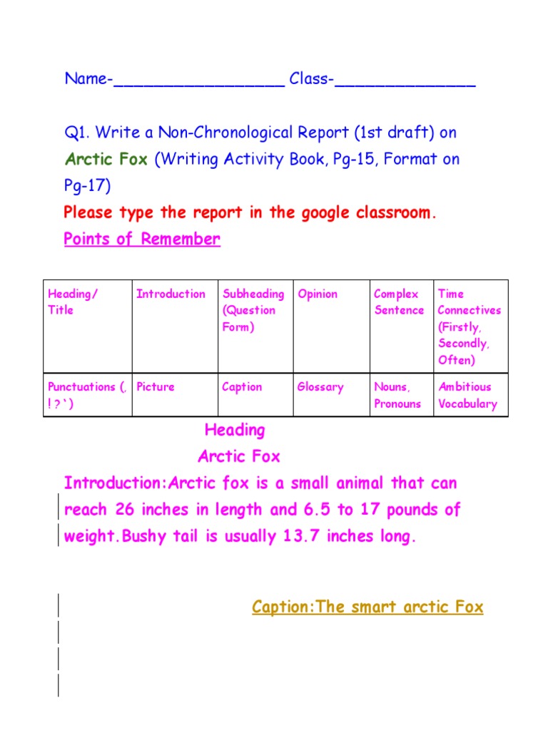 Arctic Fox Non-Chronological Report | PDF | Fox | Zoology