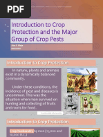 Common Crop Pests in the Philippines | PDF