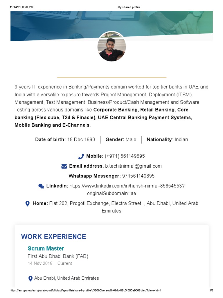 Harish Nirmal Balamurugan: Work Experience | PDF | Banks | Scrum (Software Development)