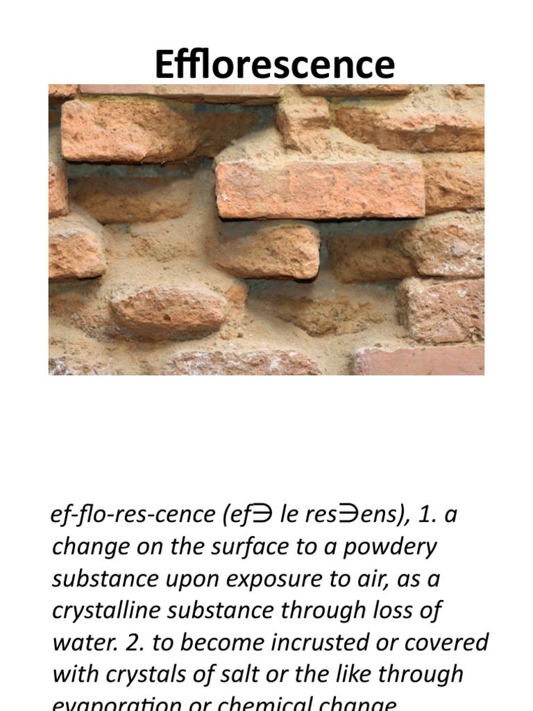 Efflorescence | PDF | Water | Concrete