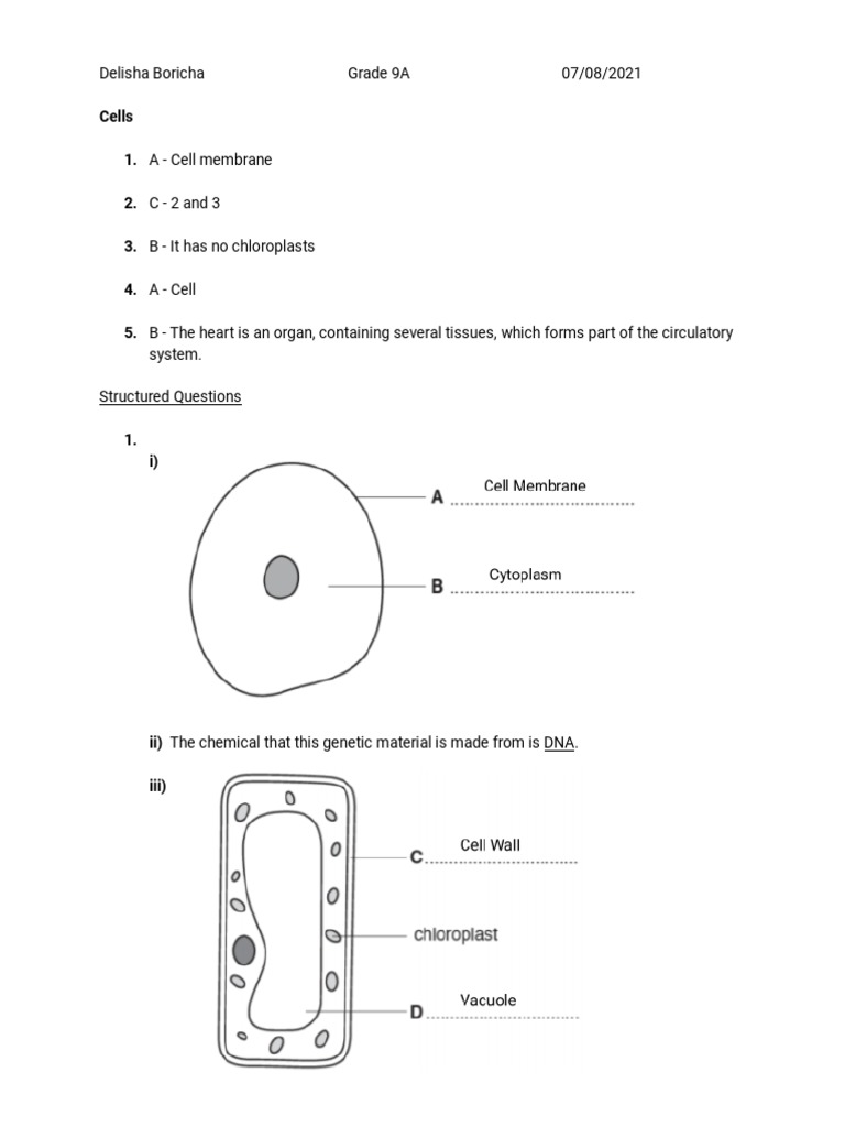 Biology CELLS Worksheet | PDF | Cell (Biology) | Red Blood Cell