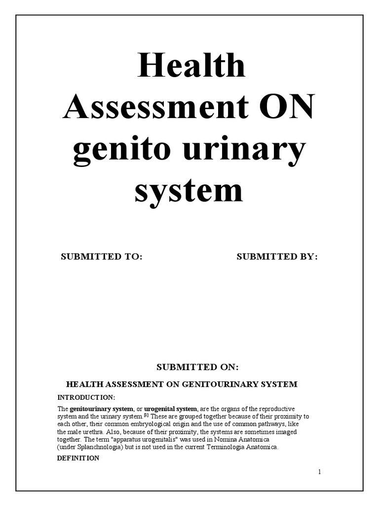 Health Assessment ON Genito Urinary System: Submitted To: Submitted by ...
