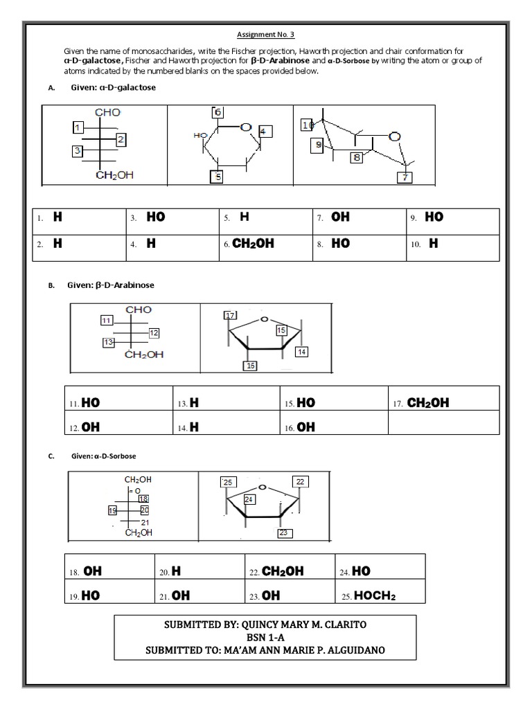 Assignment No.3-Carbohydrate Structure-Clarito | PDF