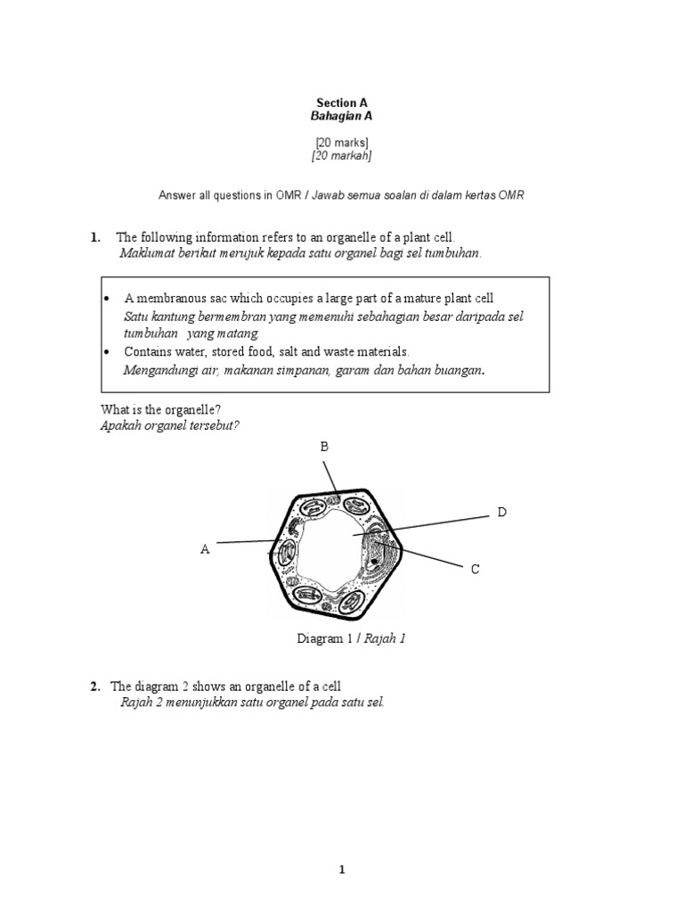 Bio F4 PPT KSSM 2021 | Download Free PDF | Osmosis | Tissue (Biology)
