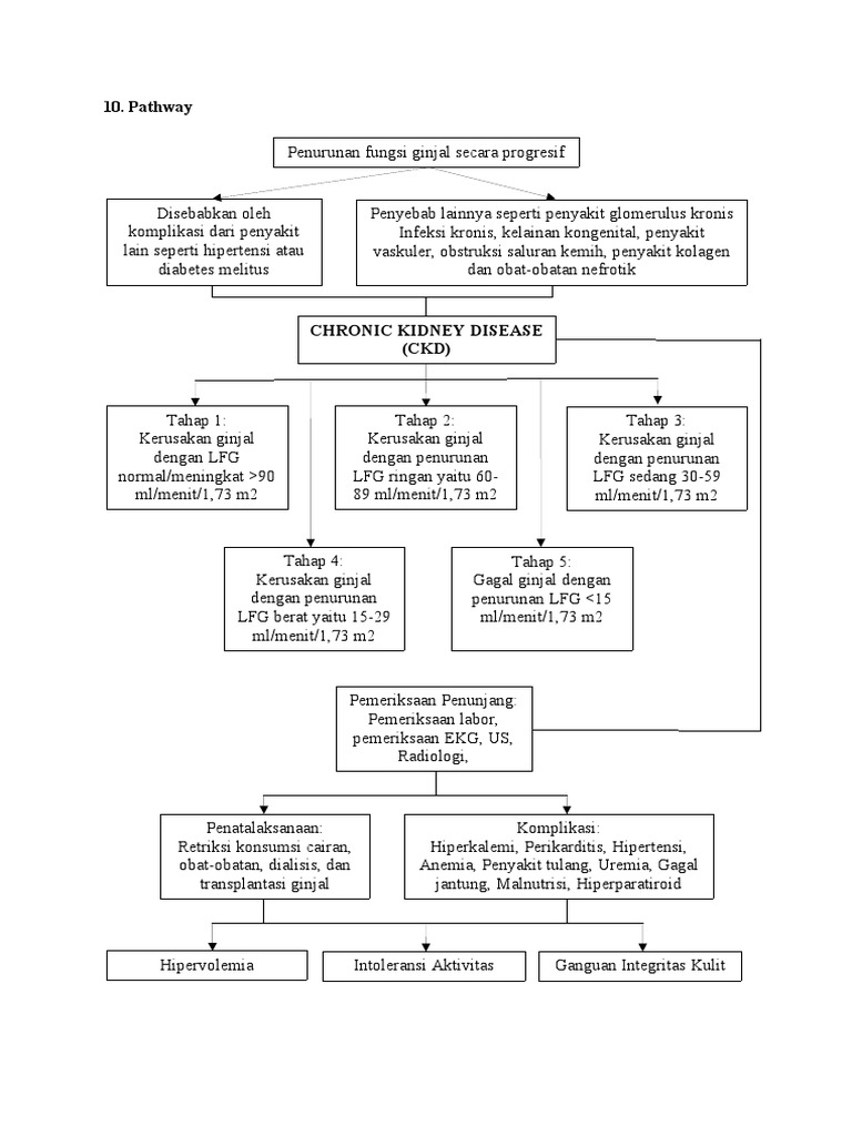 Pathway CKD | PDF