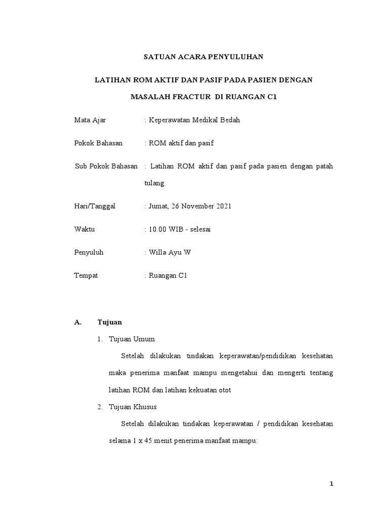 Sap Rom Aktif Dan Pasif | PDF