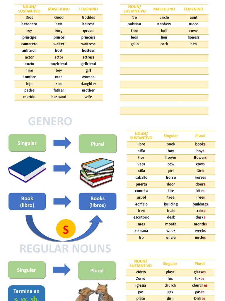 Genero: Noun/ Sustantivo Masculino Femenino Noun/ Sustantivo Masculino ...