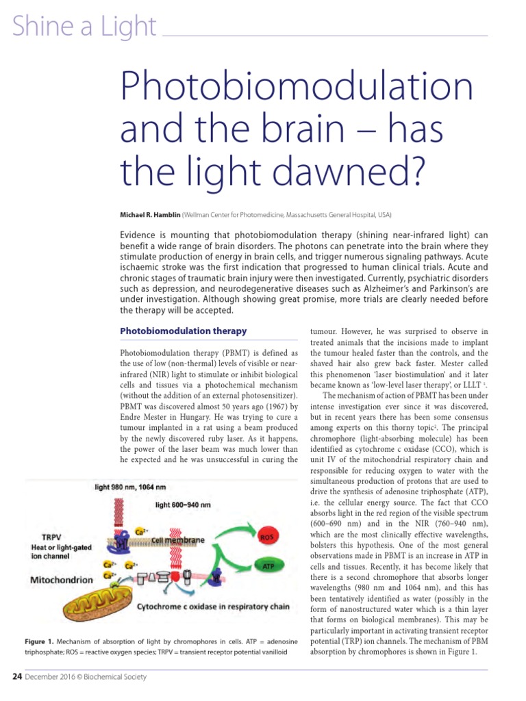 Photobiomodulation and The Brain - Has The Light Dawned? | PDF ...