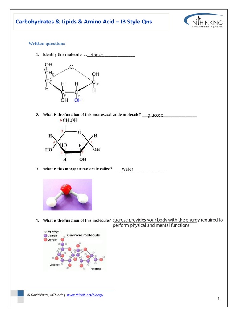 Carbohydrates & Lipids & Amino Acid - IB Style QNS: Ribose | PDF ...