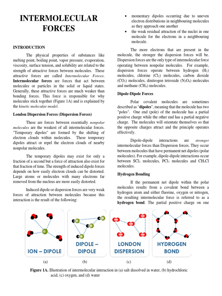 Understanding Intermolecular Forces | PDF | Intermolecular Force ...