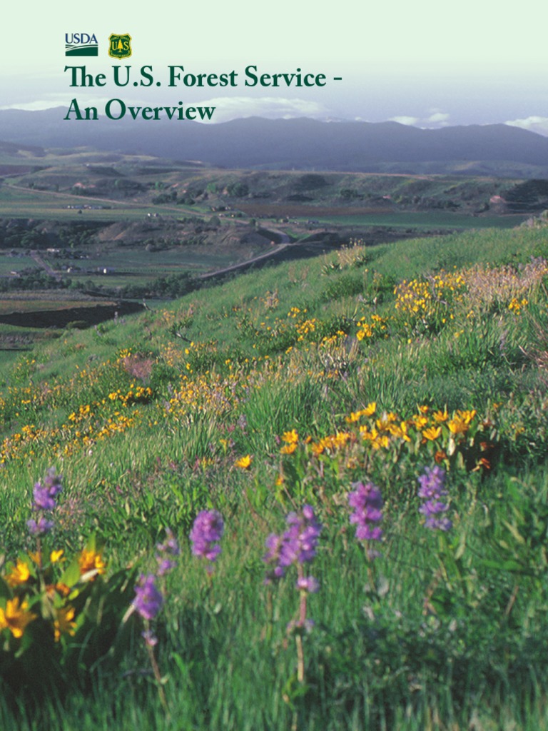 USFS Overview 0106MJS | PDF | United States Forest Service | Sustainability