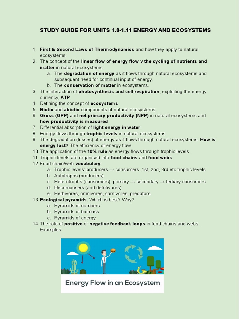 Study Guide Energy Ecosystems | PDF