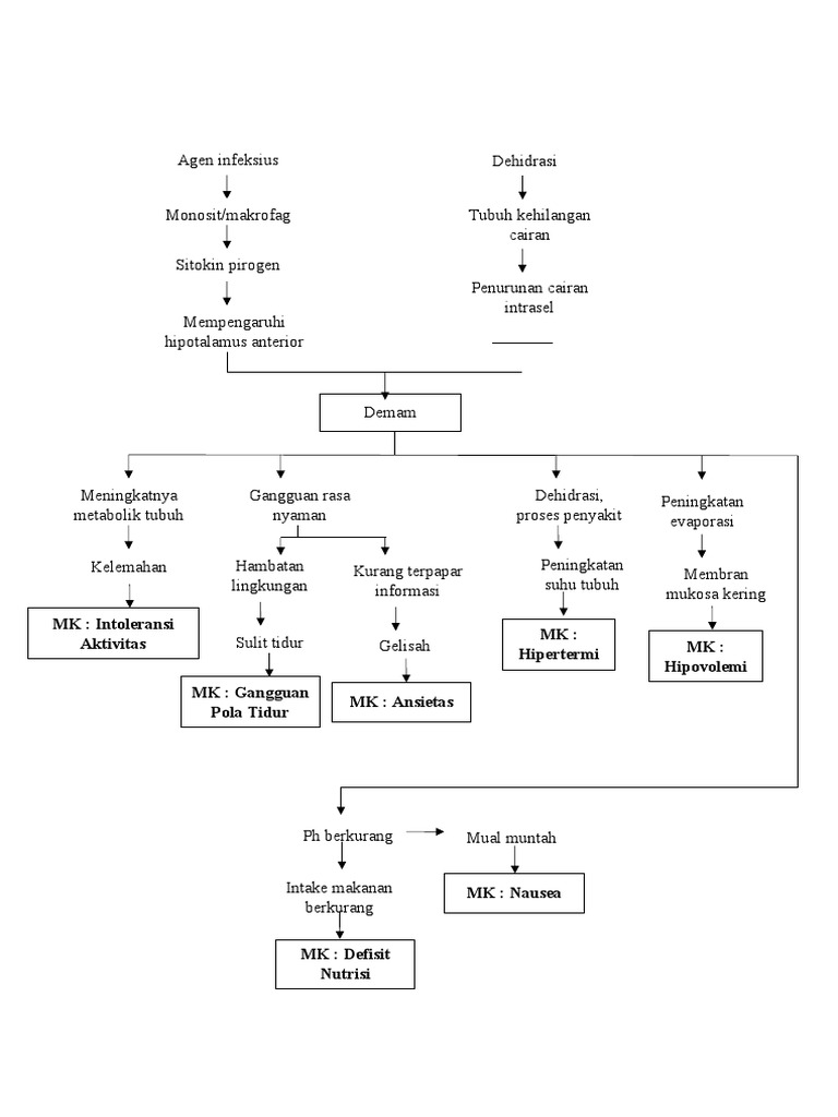 Pathway Febris | PDF