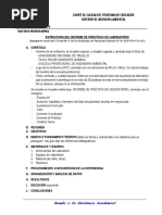 Modelo Informe de Laboratorio-2025-1-BIOLOGIA GENERAL | PDF | Laboratorios | Experimentar
