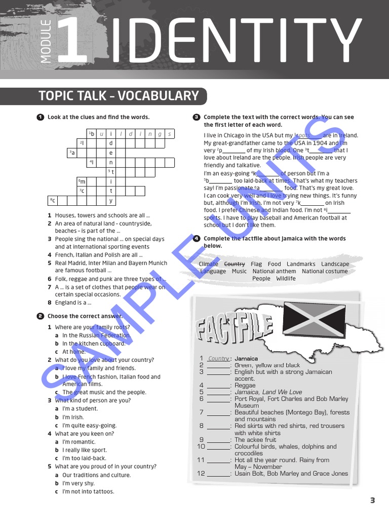 Vocabulary and Identity Exercises | PDF | English Language | Linguistics