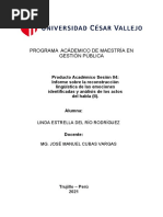 Leiter 3 | PDF | Atención | Inteligencia